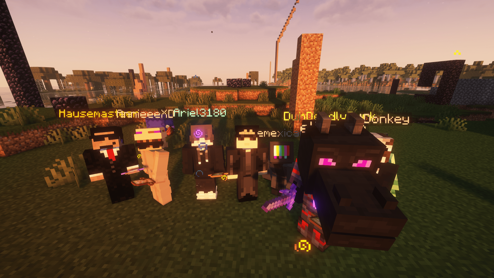 Top 5 commands on 6b6t